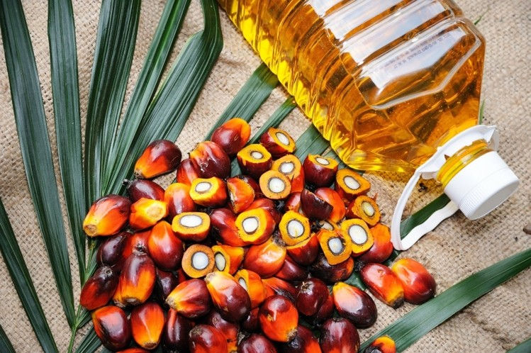 Oleopalma first RSPO-certified company in Mexico