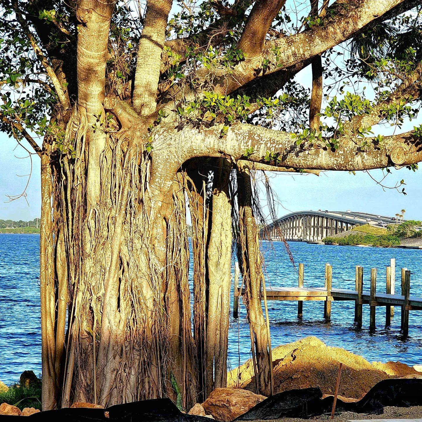 Projects | Global Greenz New