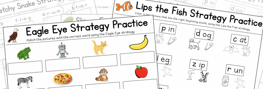 DECODING / READING STRATEGIES IN PRACTICE - How to follow up explicit ...