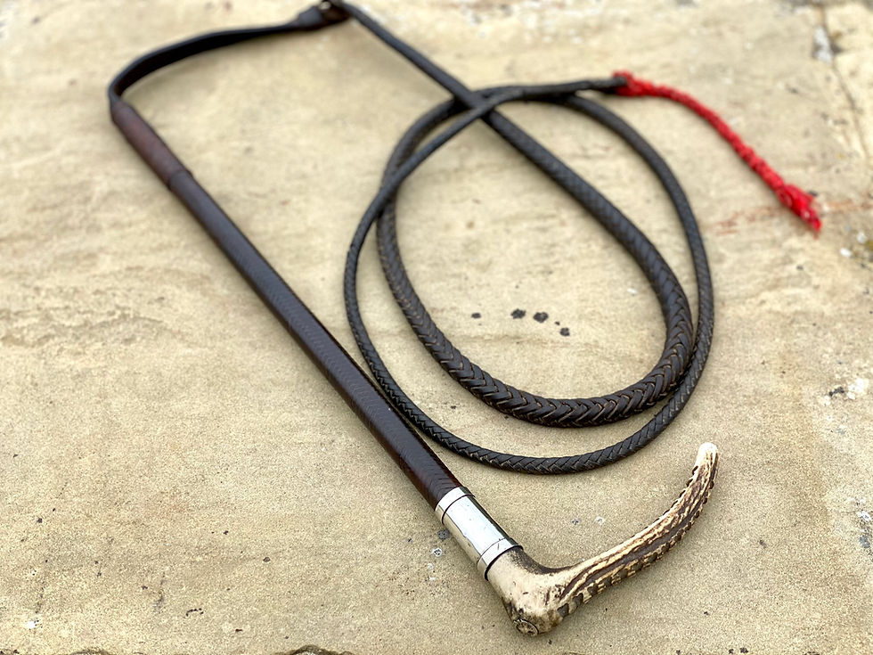 Hunting Whip - SWAINE 1924/25 - 'Valour' | Hooves and Hedges