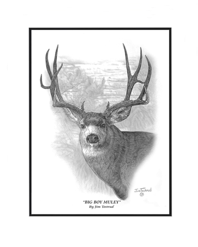 "Big Boy Muley" | Wildlife Visions