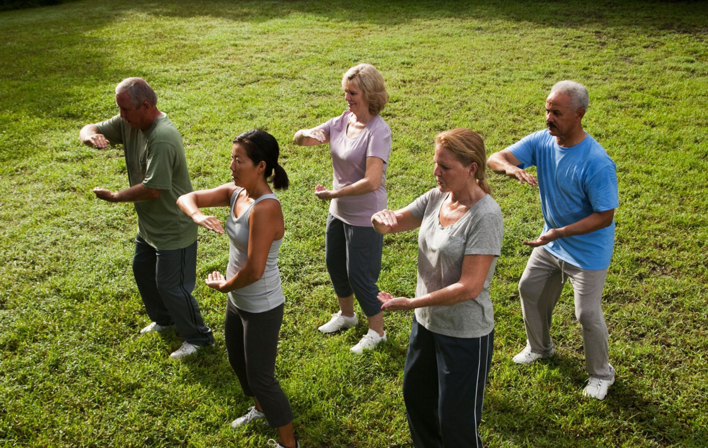 Tai Chi/Qi Gong Group Class | Anthea Watson