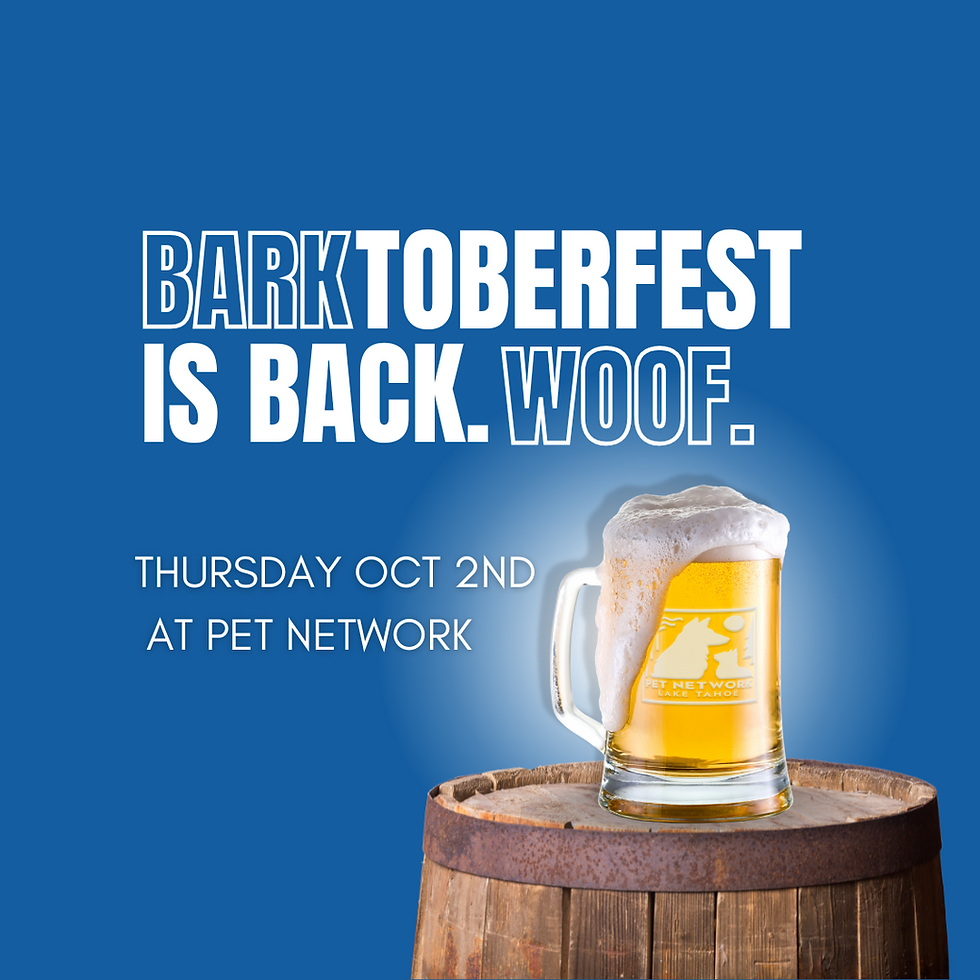 BARKtoberfest 2025 | Pet Network