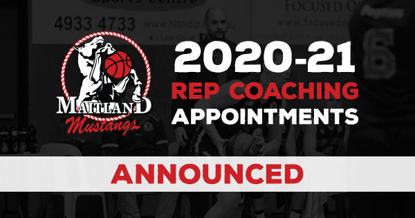 NEWS | Maitland Basketball