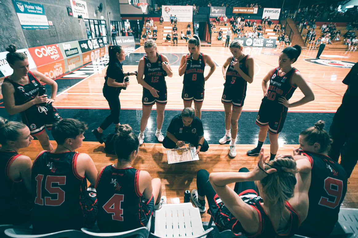 NBL1 East | Maitland Basketball