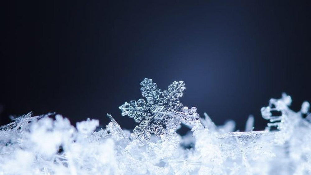 Catch a Falling Snowflake!