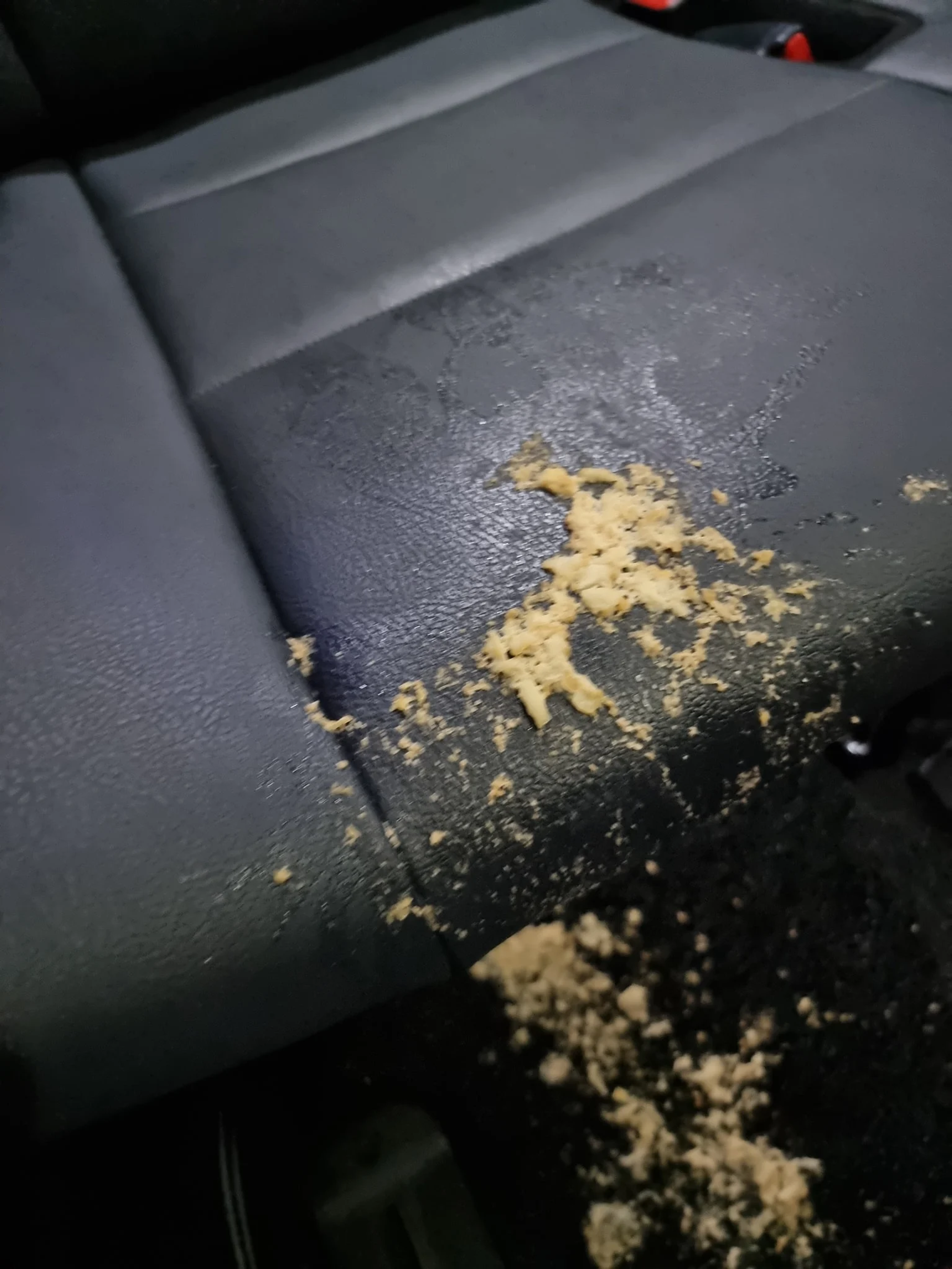 How To Clean Up Vomit In My Car - 3 Ways To Make It Simple and Fuss-Free