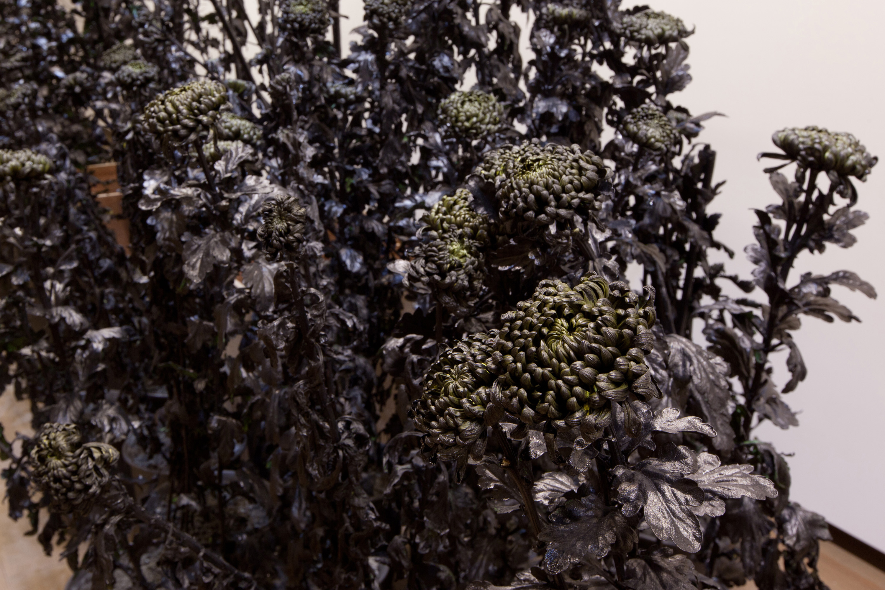 Jennifer Wen Ma | Inked Plants