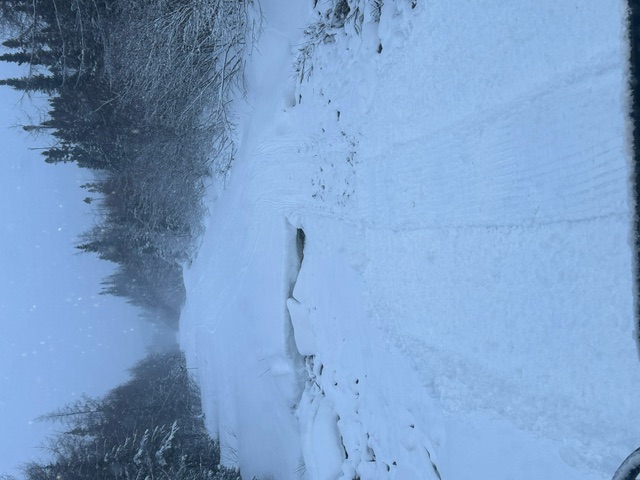 Grooming update March 2 2024