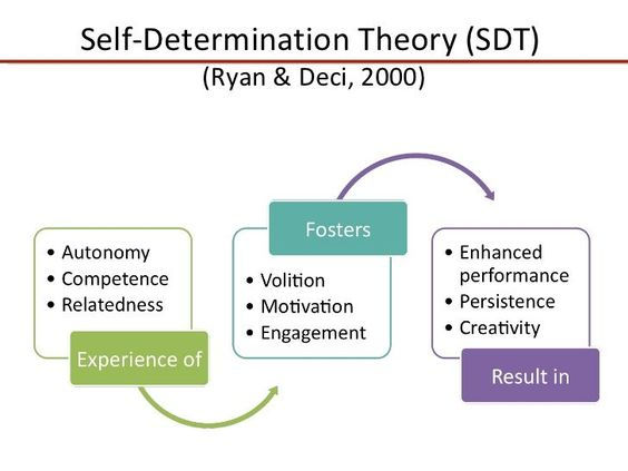SDT: A Fascinating Theory about Motivation!