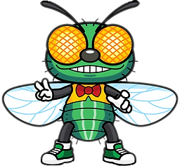 The Bug Guy | Affordable, Licensed Pest Control for New Mexico