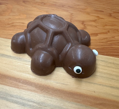 Big Baby Turtle | Purity Candy