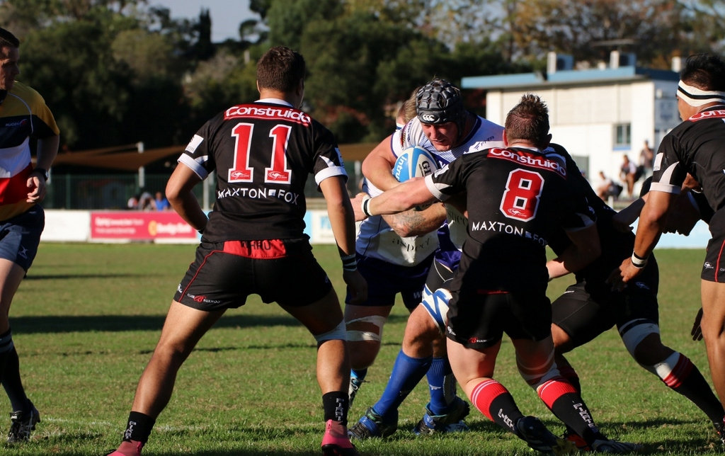 West Harbour come to TG | Woods Rugby