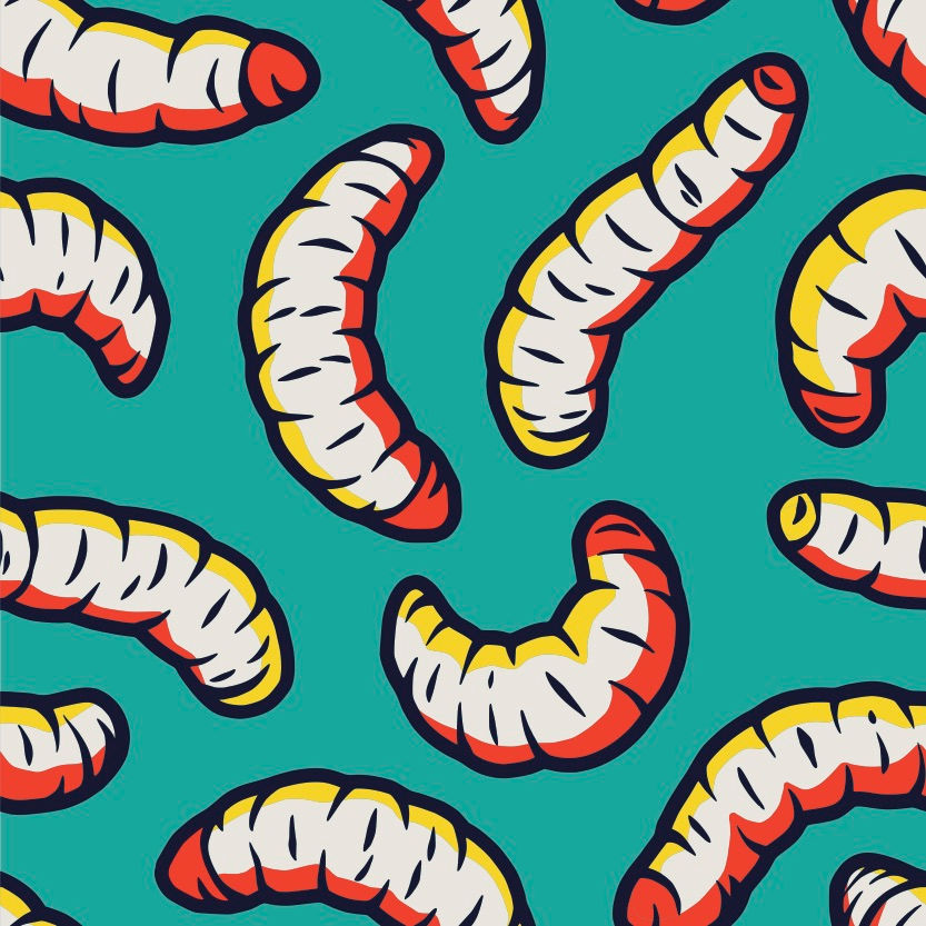 Treating Infected Wounds: A Job for Medicinal Maggots?