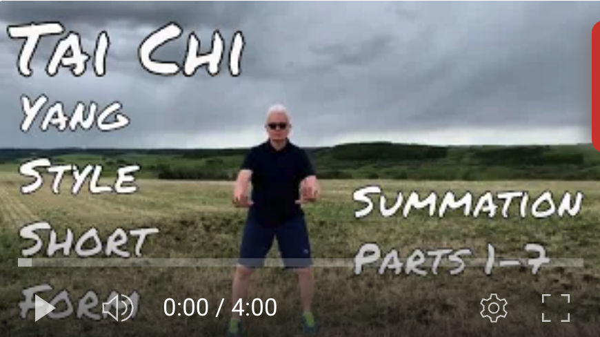Why Learn Tai Chi