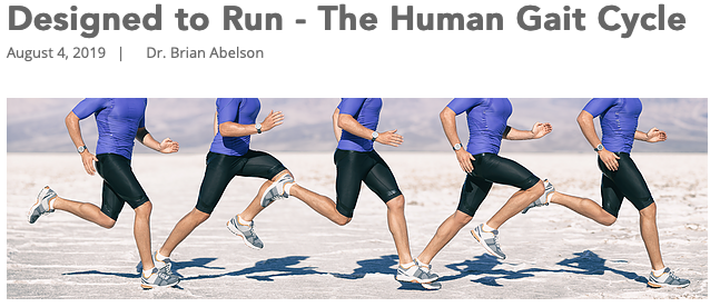 Popliteus Muscle - “The Key of the Knee”