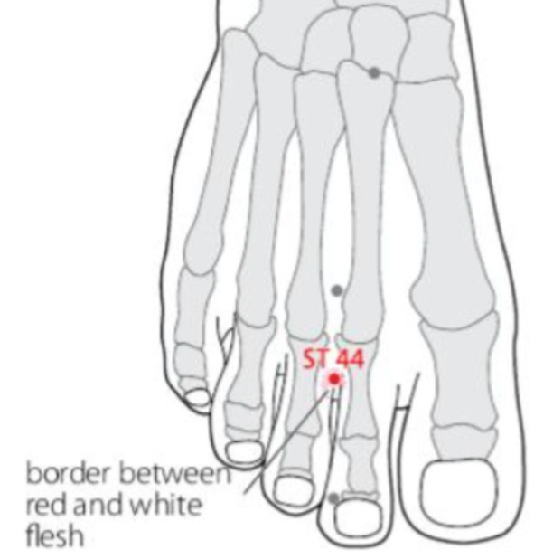 Fascial Expansions: Knee Pain Relief