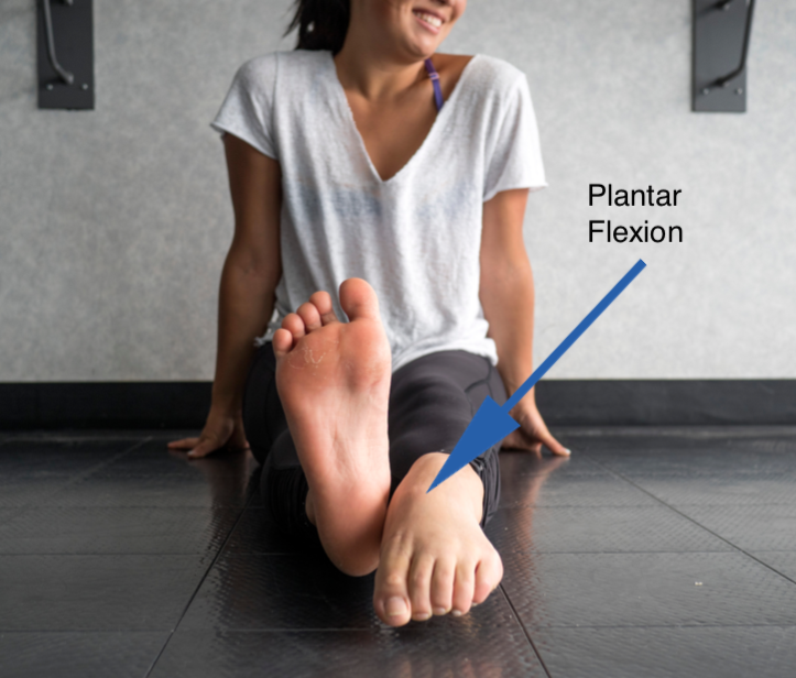 Medial Ankle Pain - Dancer’s Tendonitis - The FHL Muscle