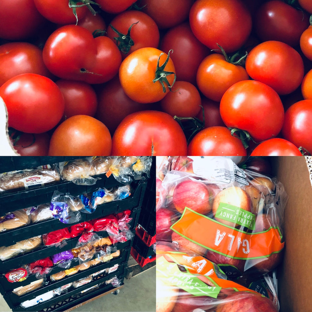 OHgo- community organization