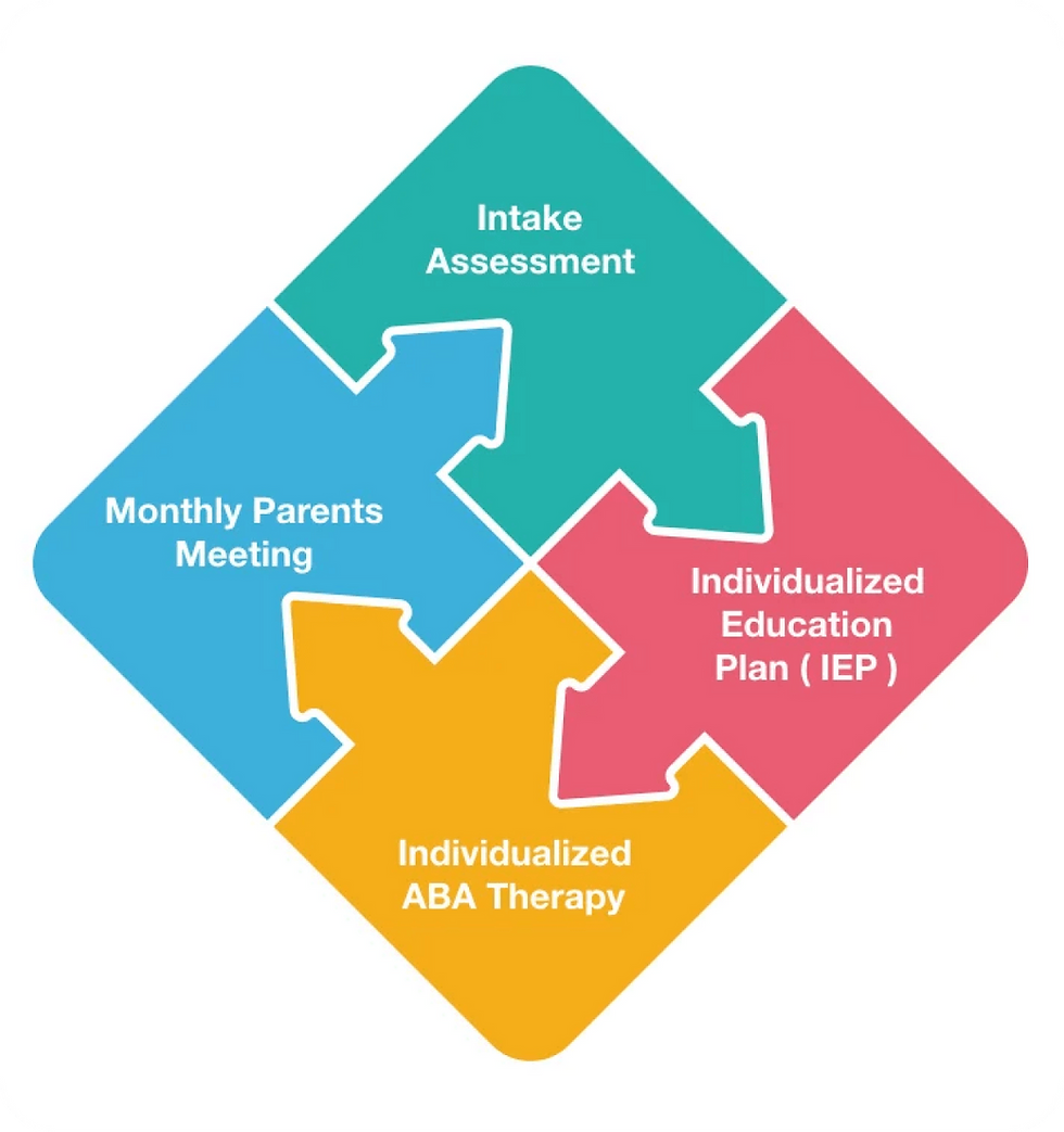 Individualised Therapy | Rise Wise