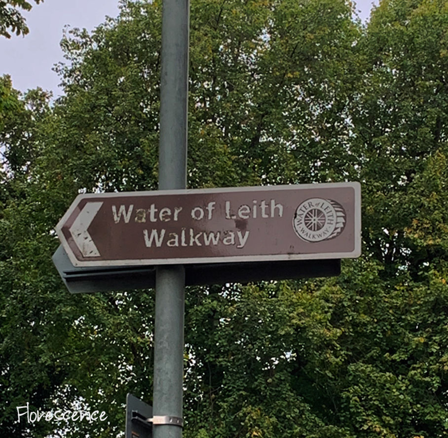 Leith Walkway or rather Water of Leith Walkway