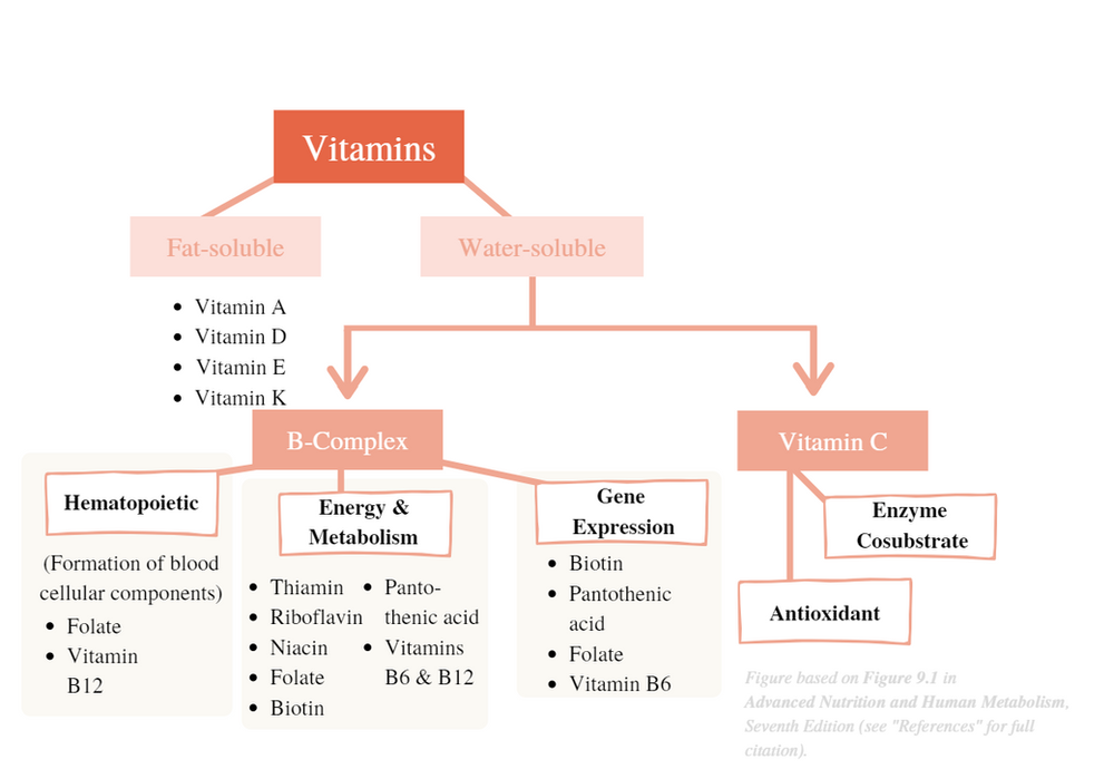 Vitamins, Minerals, and Supplements: The Basics