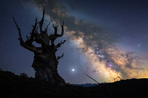 Celestial Spire | Austin James Jackson