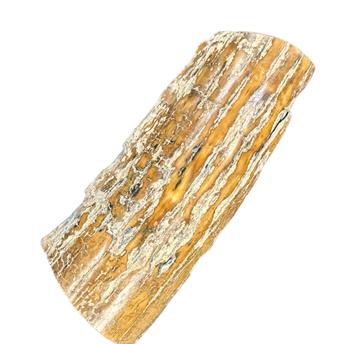 Woolly Mammoth Tusk Piece | Smoky Mountain Relic