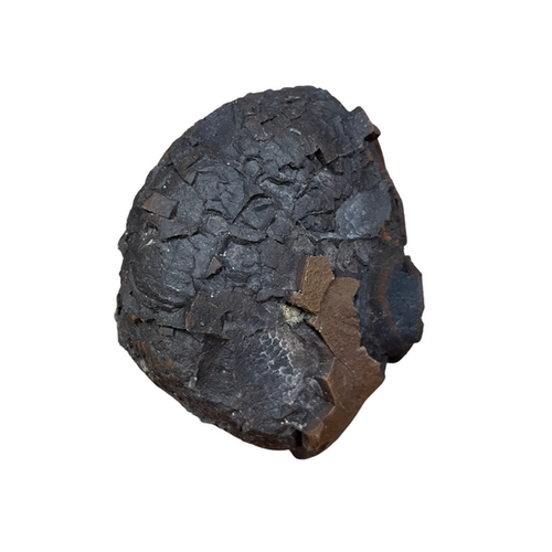 Dragon Scale Stone | Dragon Scale Stone