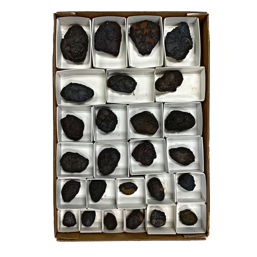 Wholesale Flat Grade A (Dragon Scale Stones) | Dragon Scale Stone