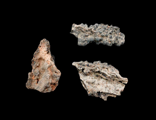 Fulgurite - Large Piece | therelicroom