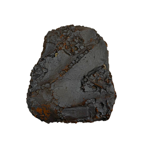 Dragon Scale Stone | Dragon Scale Stone