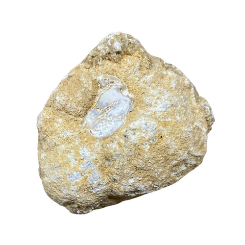 Unbroken Geode - Large | Smoky Mountain Relic