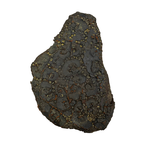 Dragon Scale Stone | Dragon Scale Stone