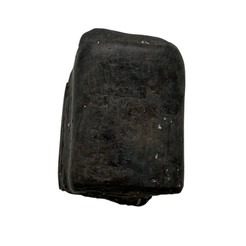 Giant Ground Sloth Tooth | Smoky Mountain Relic