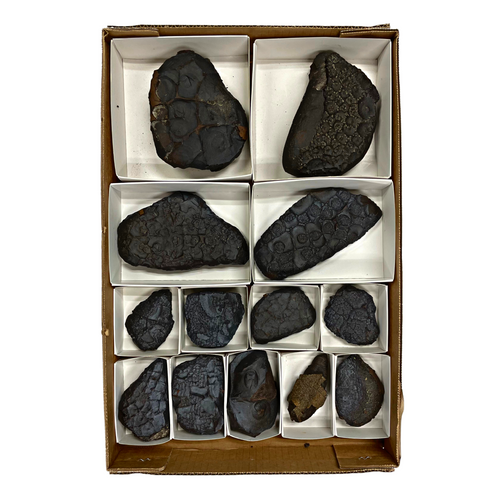 Wholesale Flat Grade A (Dragon Scale Stones) | Dragon Scale Stone