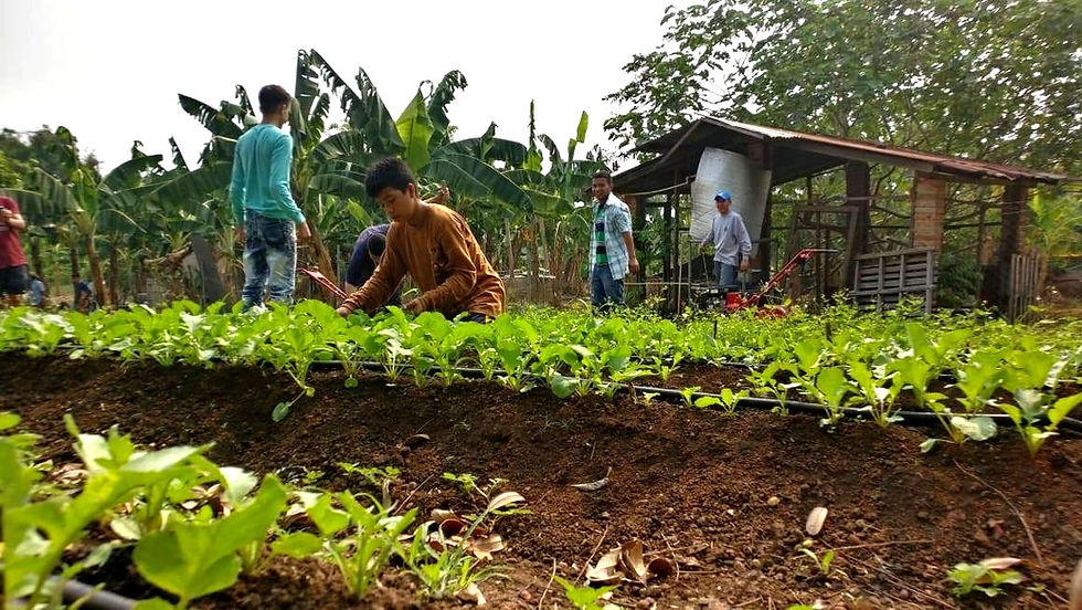 Fundación AHLE | Fundación AHLE