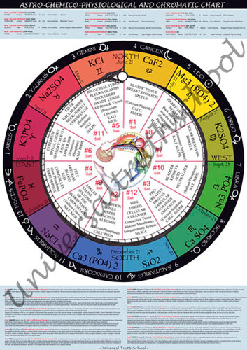 Astro Chemico Physiological and Chromatic Digital Chart | Syncretic Healing