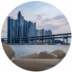 WELCOME TO BUSAN | wild