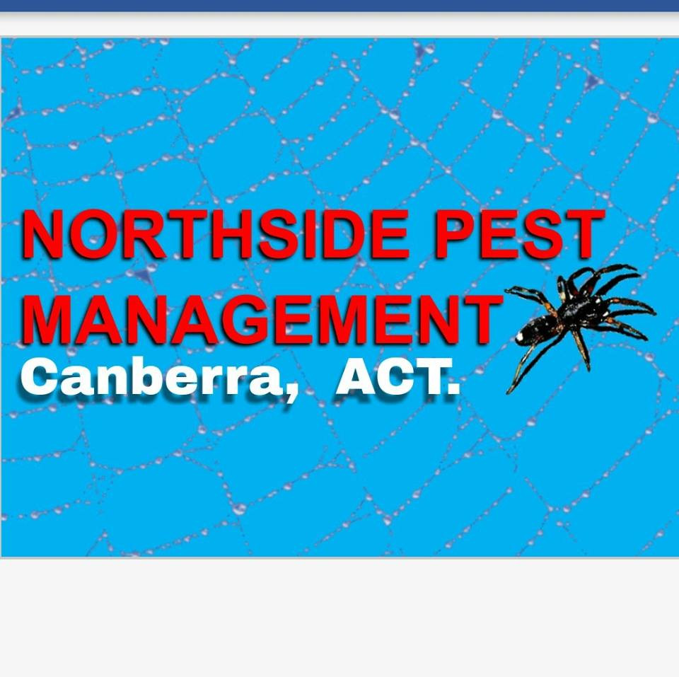Pest Control Canberra Act | Ngunnawal | Northside Pest Management