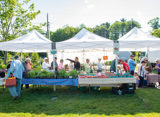 Home | Boothbay Farmers'