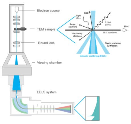 What is EELS (Electron Energy Loss Spectroscopy)?