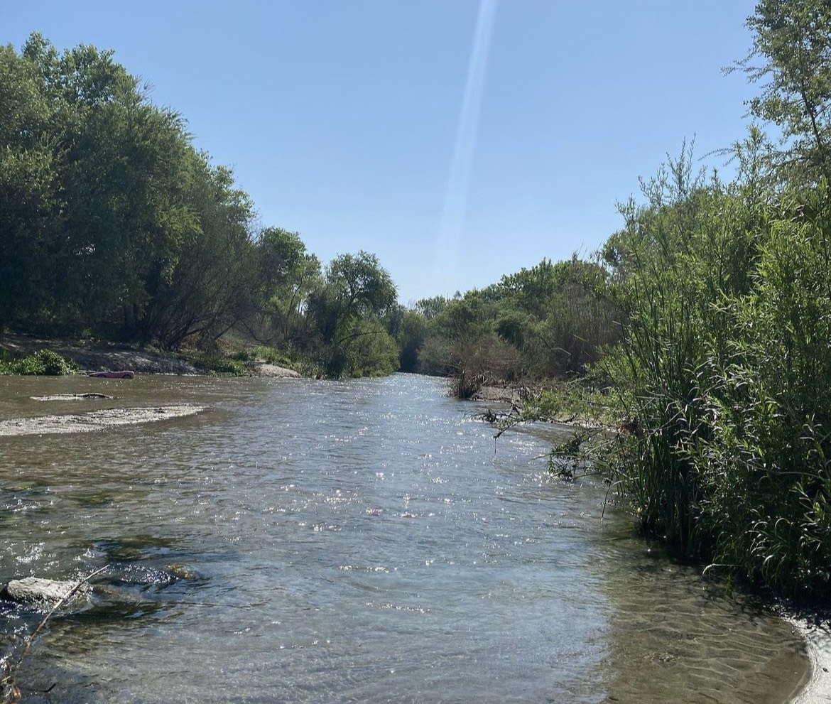 Martha McLean - Anza Narrows Park - Everything to Know