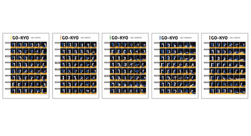 Judo Poster Gokyo complet ( 5 feuilles) | My Site