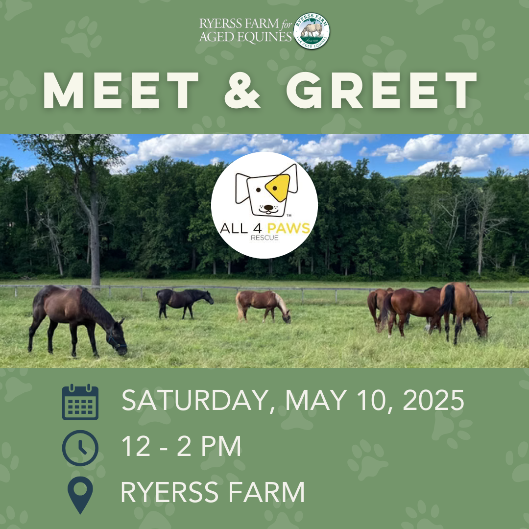 Meet & Greet with All 4 Paws Rescue | Ryerss Farm