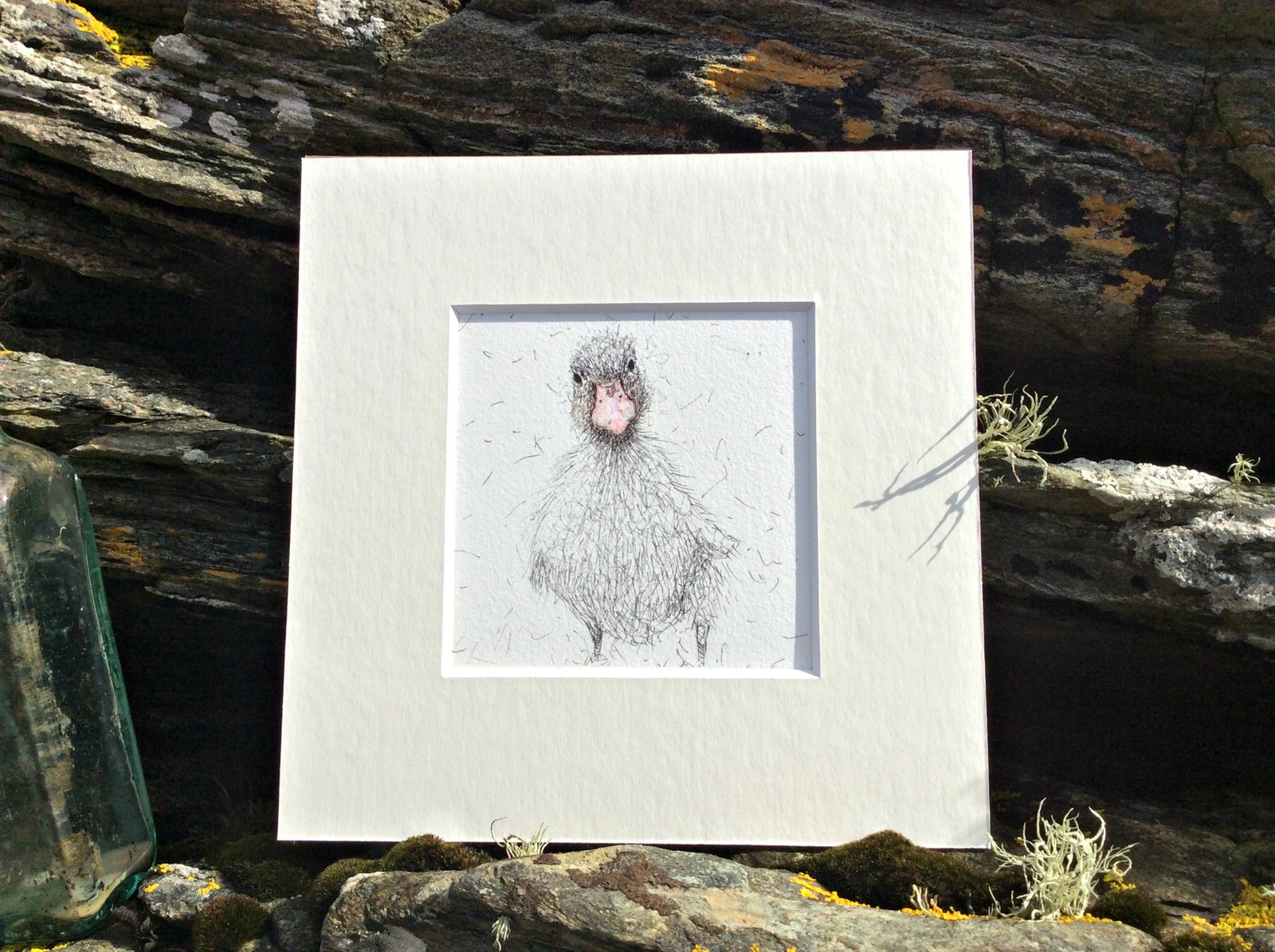 Illustrator/Artist | Isle of Bute | Ruth Slater Artist