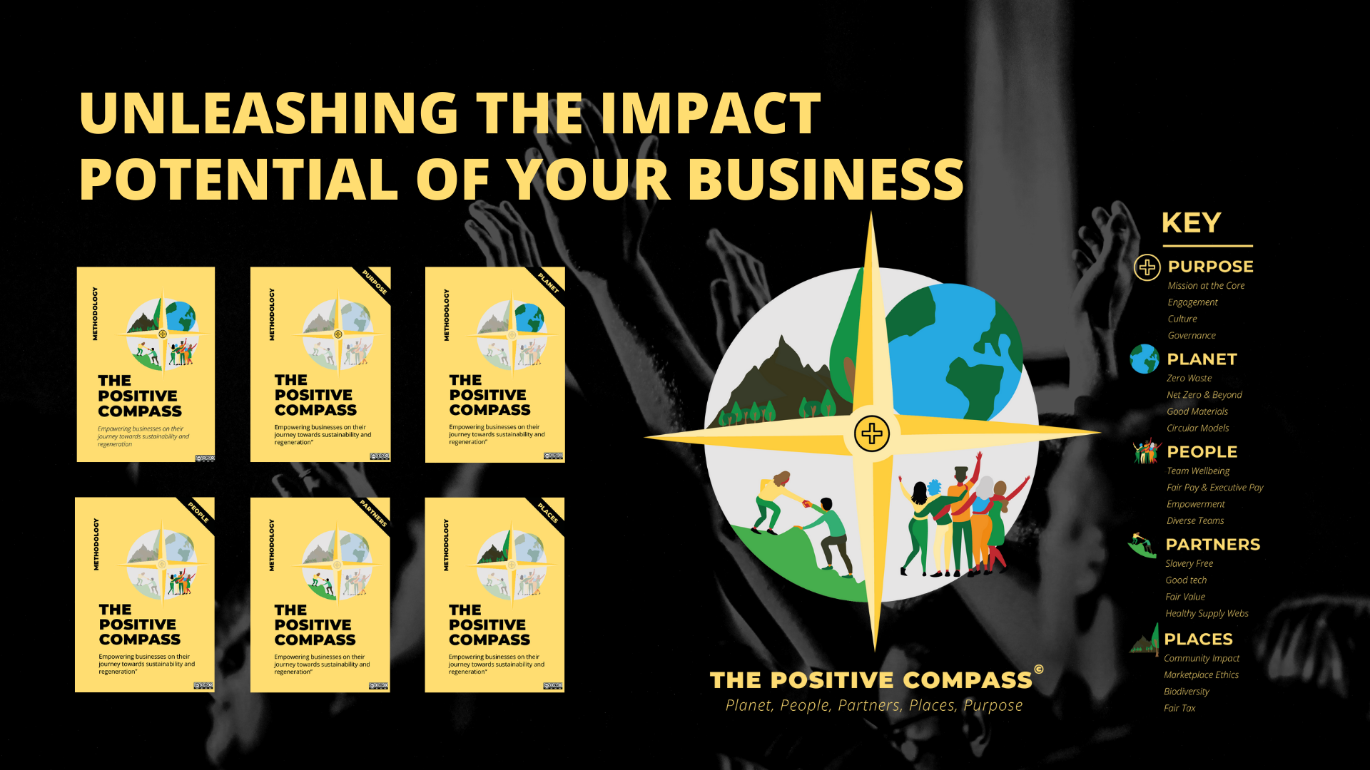 The Compass for Regenerative Business | Positive