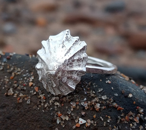 Solid silver sandcast limpet shell ring, Seashell ring | Sea Stone ...