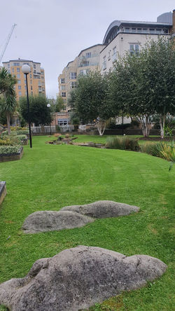 Home | SB Property Services