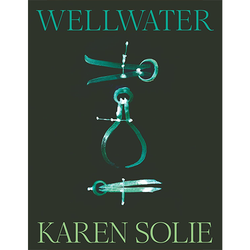 Wellwater - Karen Solie | Verve Poetry Booksho